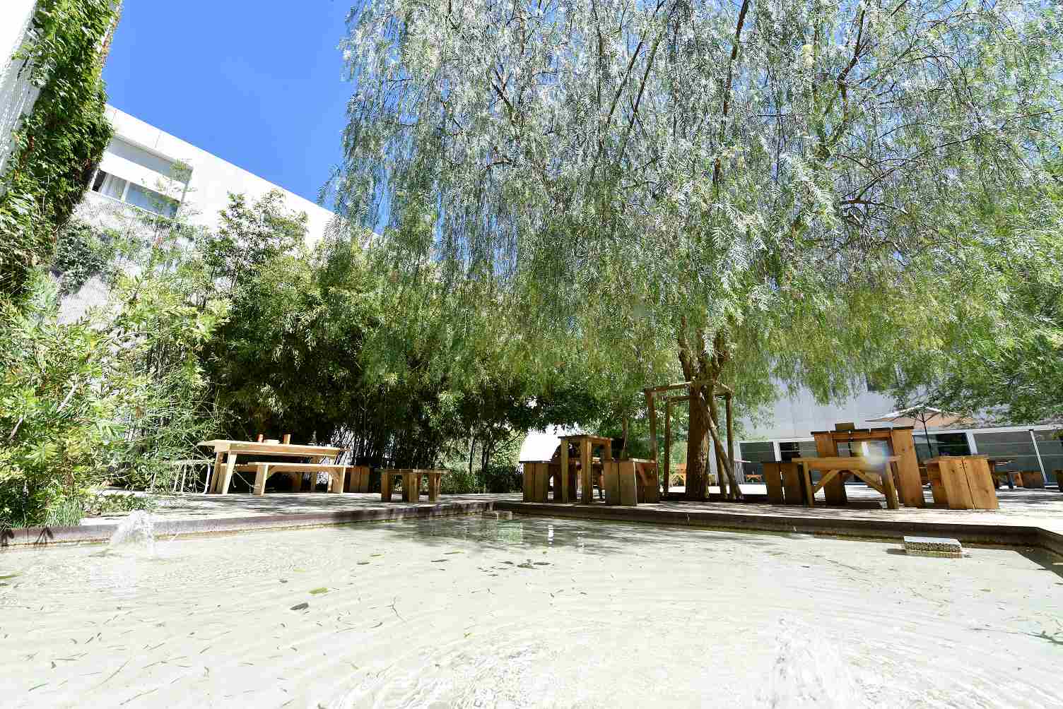 Logements pour étudiants en culture / beaux arts - Crous Montpellier ...